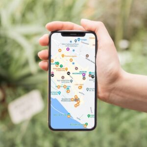 PŁOCK: mapa 50+ atrakcji, zabytków, restauracji i noclegów